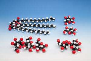 Biochemistry – Molymod