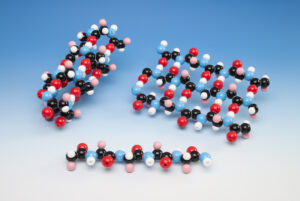 Biochemistry – Molymod